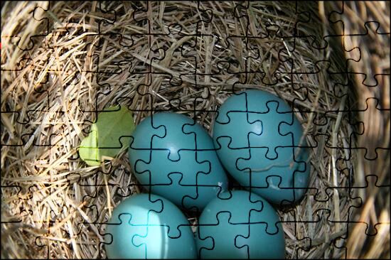 Nest Jigsaw Puzzles Online | JSPuzzles.com