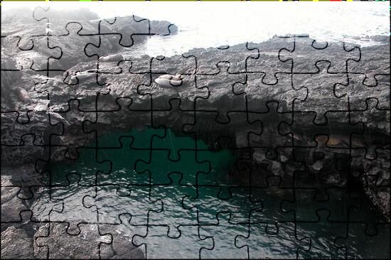 Rompecabezas De Galápagos | Jspuzzles.Com