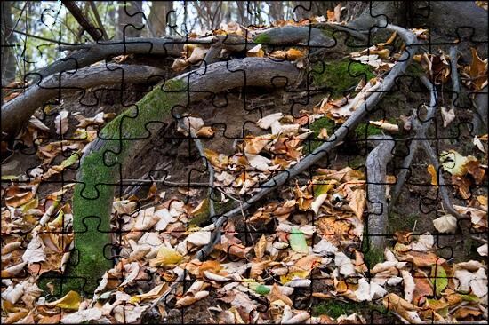 Root Jigsaw Puzzles Online | JSPuzzles.com