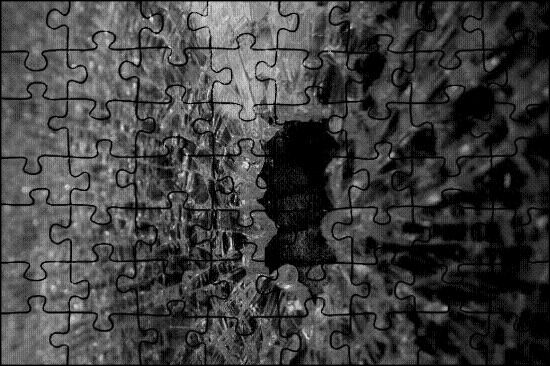 Spider Web Jigsaw Puzzles Online | JSPuzzles.com