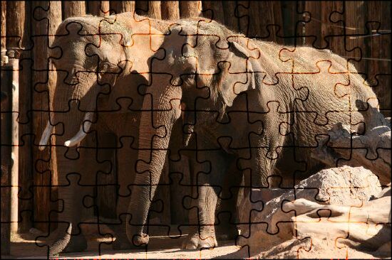 Elephants Jigsaw Puzzle Online | Jspuzzles.Com