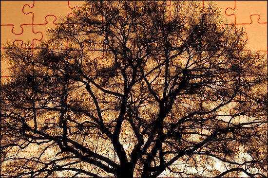 Oak Tree Jigsaw Puzzle Online | Jspuzzles.Com