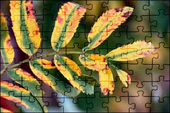 Puzzle Feuilles D'Automne Gratuit | Jspuzzles.Com
