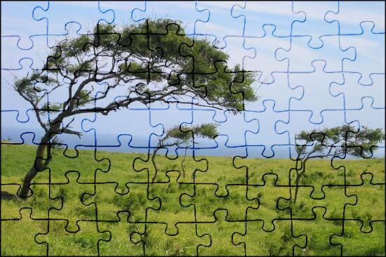 Grassland Jigsaw Puzzles Online | JSPuzzles.com - Page 150