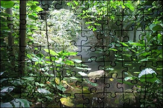 Jungle Jigsaw Puzzles Online | JSPuzzles.com