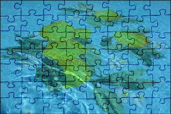 Puzzle Online Piscina | Jspuzzles.Com
