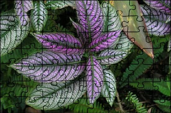 Plants Jigsaw Puzzle Online | Jspuzzles.Com