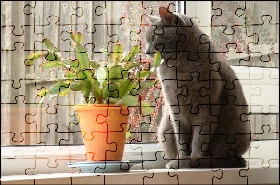 Pottery Jigsaw Puzzles Online | JSPuzzles.com