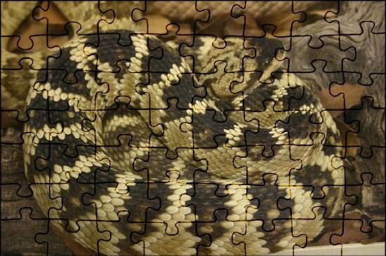 Snake Jigsaw Puzzles Online | JSPuzzles.com