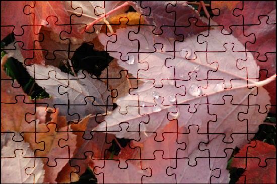 Puzzle Feuilles Gratuit | Jspuzzles.Com