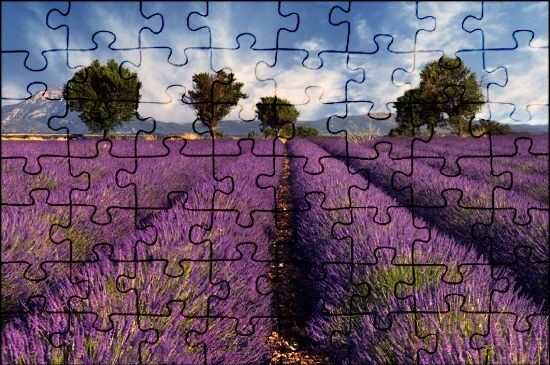 Lavender Field Jigsaw Puzzle Online | Jspuzzles.Com
