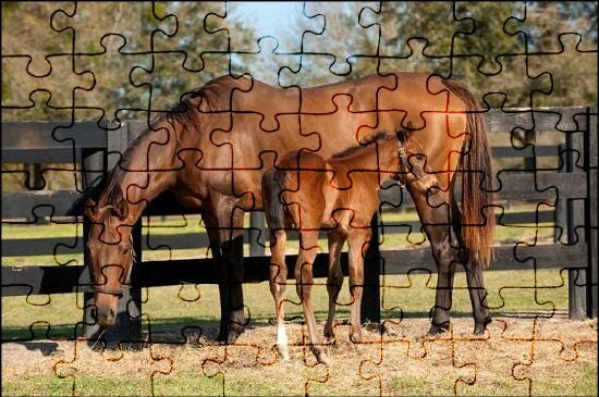 Horses in Green Pasture Jigsaw Puzzle Online | Jspuzzles.Com