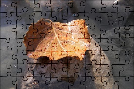 Autumn Leaf Jigsaw Puzzle Online | Jspuzzles.Com