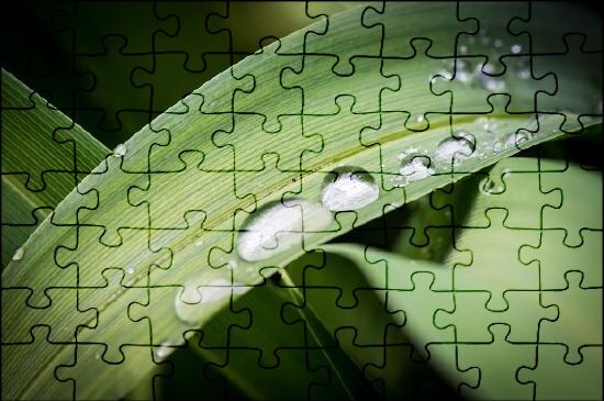 Droplet Jigsaw Puzzles Online | JSPuzzles.com - Page 13