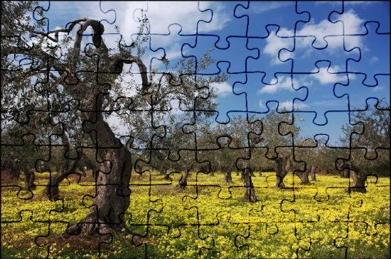 Olive Trees Jigsaw Puzzle Online | Jspuzzles.Com