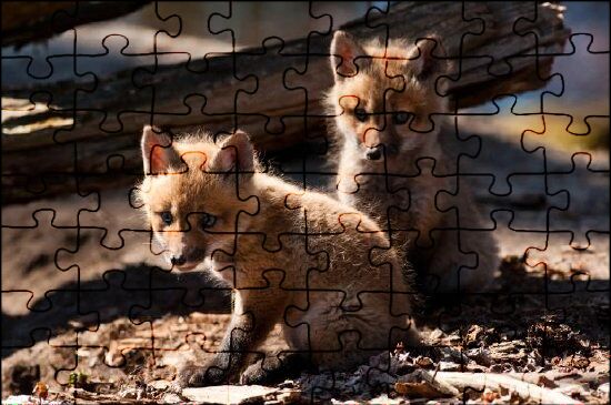 Fox Jigsaw Puzzles Online | JSPuzzles.com - Page 11