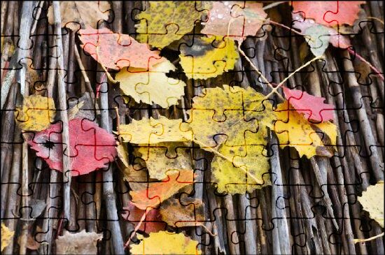 Autumn Leaves Jigsaw Puzzle Online | Jspuzzles.Com