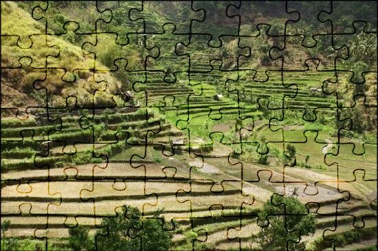 Rice Terraces Jigsaw Puzzle Online | Jspuzzles.Com