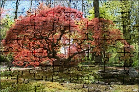 Maple Jigsaw Puzzles Online | JSPuzzles.com