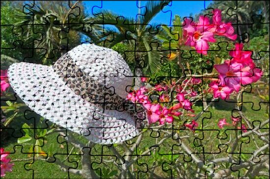 Hat Jigsaw Puzzles Online | JSPuzzles.com - Page 244