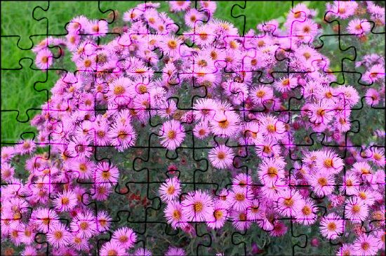 Puzzle Online Fiori Da Giardino | Jspuzzles.Com