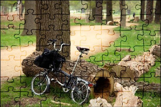 Folding Bicycle in The Park Jigsaw Puzzle Online | Jspuzzles.Com