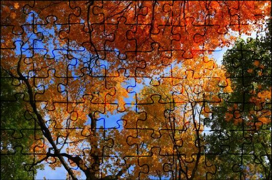 The Harvard Arboretum Jigsaw Puzzle Online | Jspuzzles.Com
