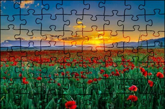 Red Poppies Jigsaw Puzzle Online | Jspuzzles.Com