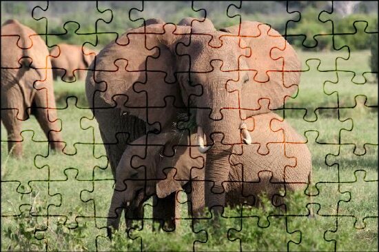 Elephants Jigsaw Puzzle Online | Jspuzzles.Com