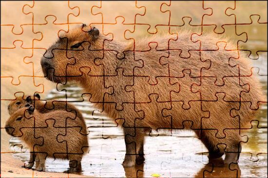 Three Capybaras Jigsaw Puzzle Online | Jspuzzles.Com