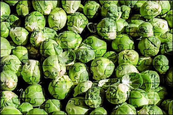 Cabbage Jigsaw Puzzles Online | JSPuzzles.com