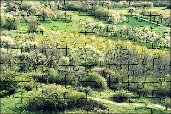 Spring Jigsaw Puzzle Online | Jspuzzles.Com