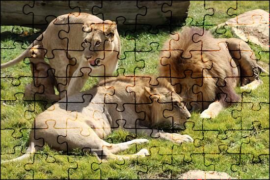 Zoo Jigsaw Puzzles Online | JSPuzzles.com