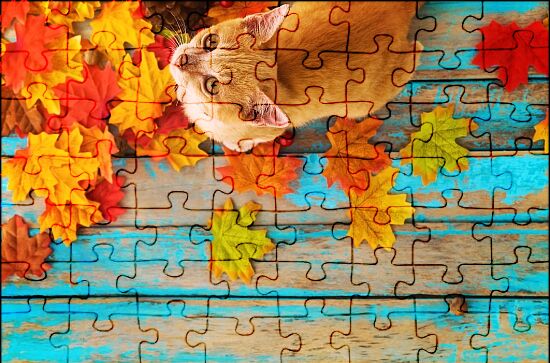 Leaf Jigsaw Puzzles Online | JSPuzzles.com