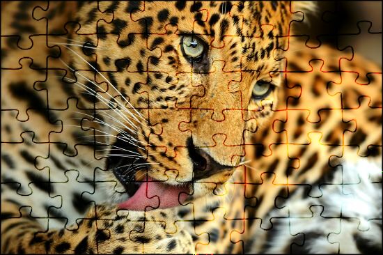 Jaguar Jigsaw Puzzles Online | JSPuzzles.com