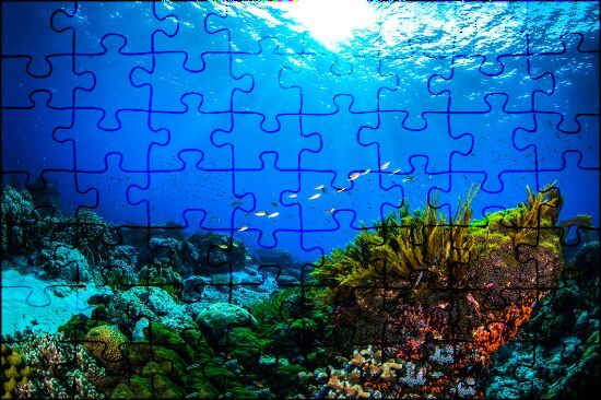 Underwater World Coral Reef Jigsaw Puzzle Online | Jspuzzles.Com