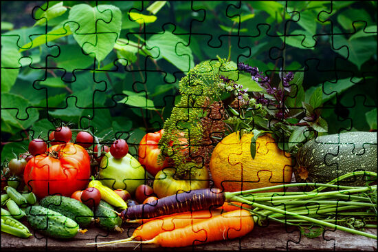Composition Assorted Raw Organic Vegetables Harves Jigsaw Puzzle