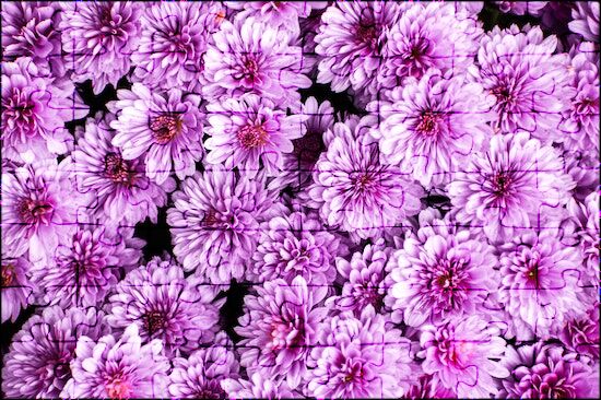 Purple Petaled Flowers Jigsaw Puzzle Online | Jspuzzles.Com