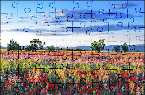 Red Poppy Field Jigsaw Puzzle Online | Jspuzzles.Com