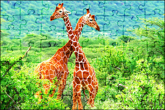 Two Jiraffes Jigsaw Puzzle Online | Jspuzzles.Com