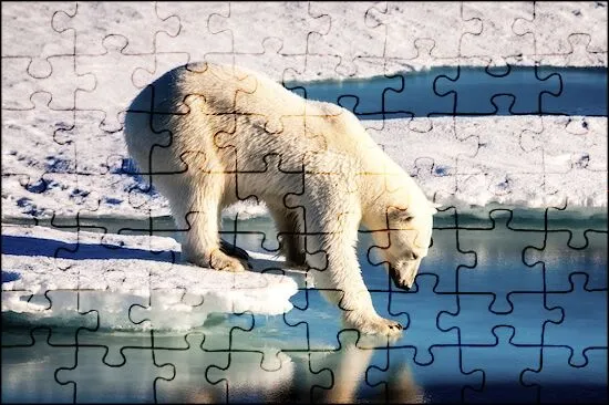 Puzzle Ours Polaire Dans L'Arctique Gratuit | Jspuzzles.Com