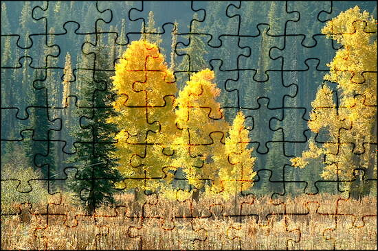 Cattails, Forests and Fall Color Jigsaw Puzzle Online