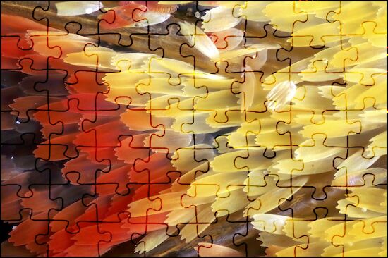 Butterfly Wing Macro Photo Jigsaw Puzzle Online | Jspuzzles