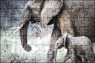 Mother and Baby Elephants Jigsaw Puzzle Online | Jspuzzles
