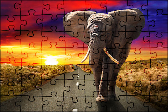 Elephant Walking On The Road Jigsaw Puzzle Online | Jspuzzles