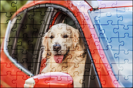 Golden Retriever Driving A Car Jigsaw Puzzle Online | Jspuzzles