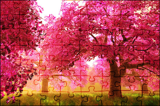 Cherry Blossoms Trees Jigsaw Puzzle Online | Jspuzzles