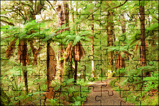 Rain Forest With Fern Trees Jigsaw Puzzle Online | Jspuzzles
