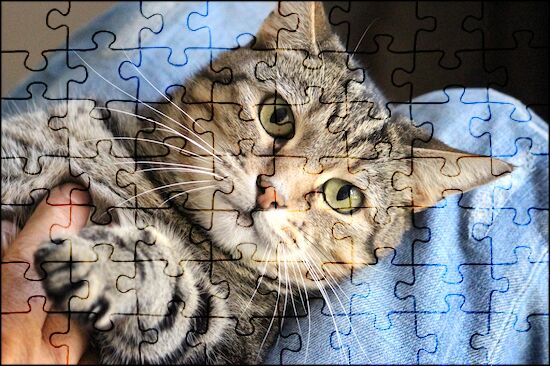 Rompecabezas De Lindo Gato Feliz | Jspuzzles