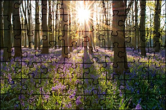 Spring Day Jigsaw Puzzle Online | Jspuzzles